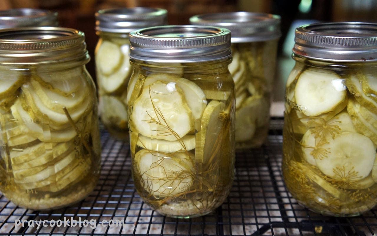 DIY Homemade Dill Pickles